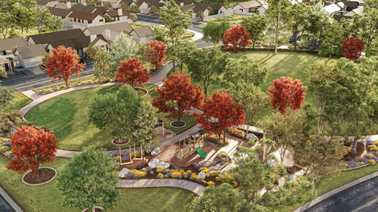 NOVM – A new vision